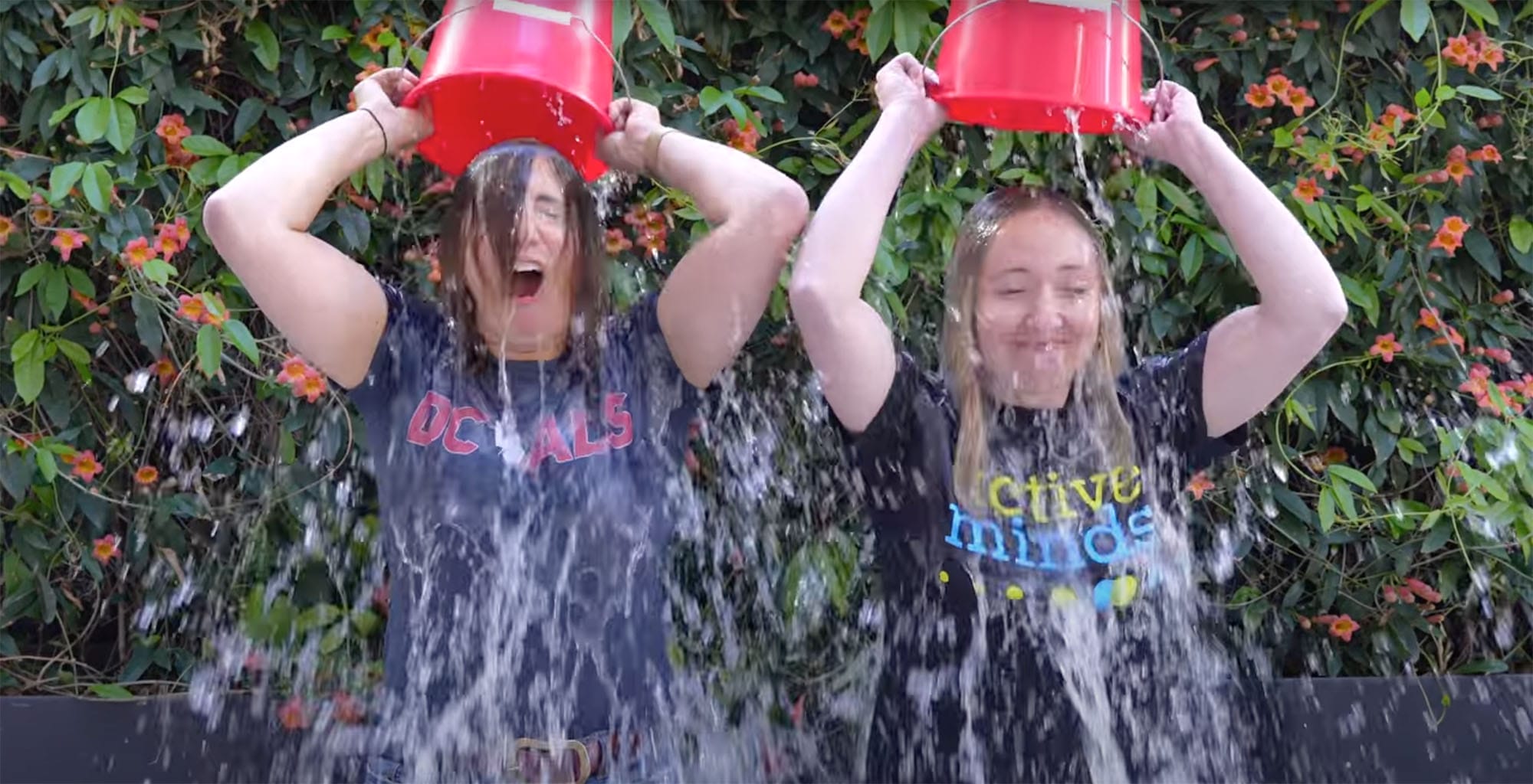 Active Minds & ALS Association Join Forces to Raise Awareness and ...